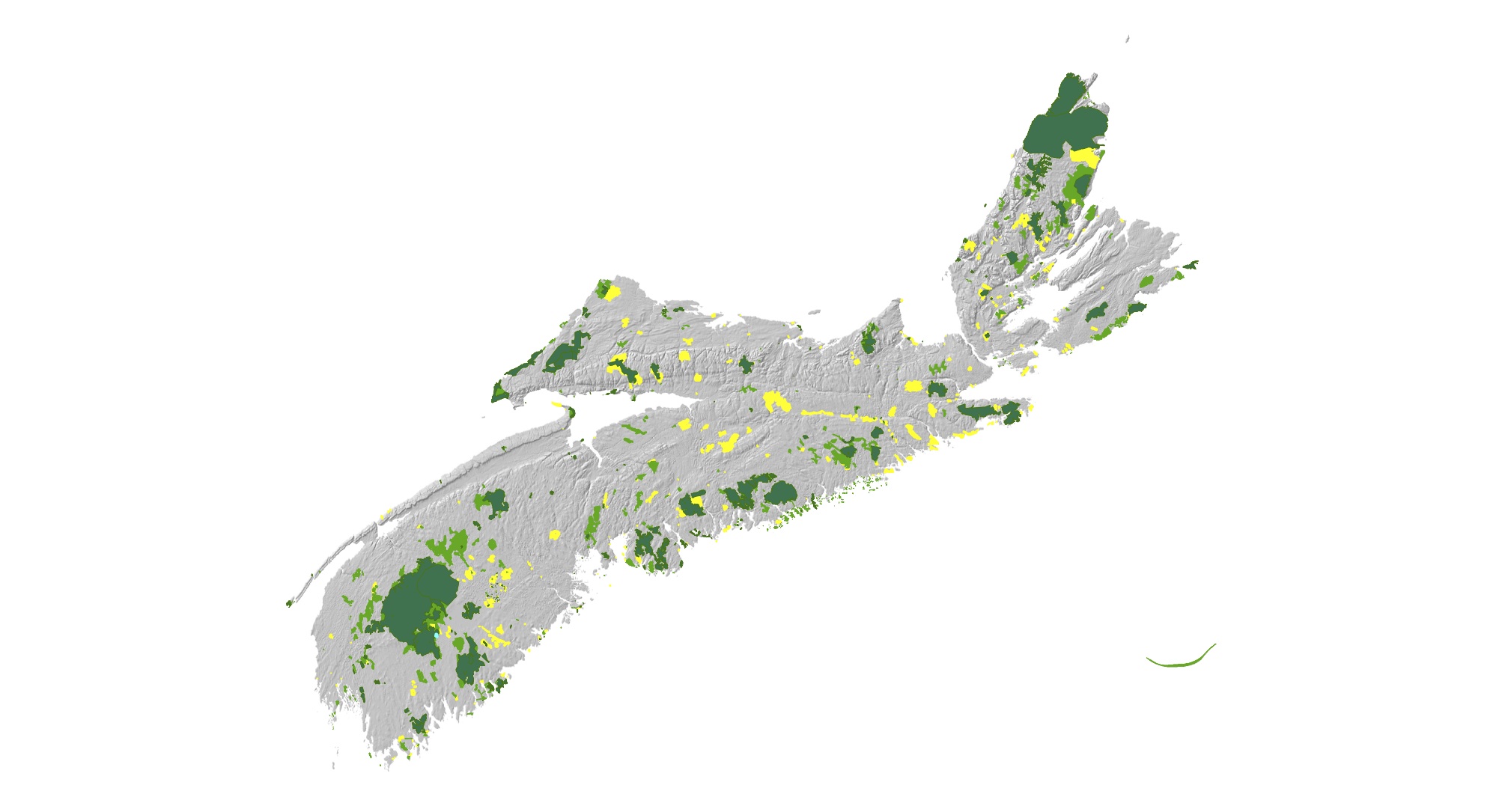 THE YEAR IN CONSERVATION IN NOVA SCOTIA – CPAWS Nova Scotia